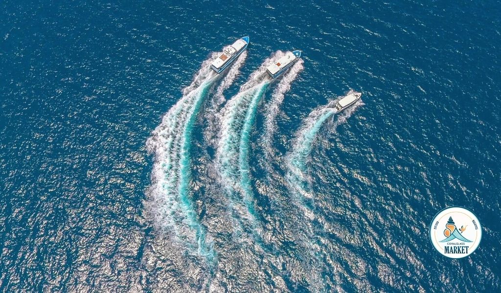 MTCC Scores The First Phase Of Government’s Ambitious 'Integrated ...