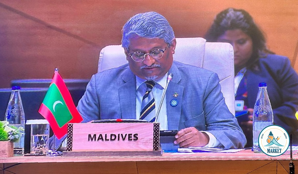 Maldives Calls on the Non-Aligned Movement (NAM) To Address Shared ...